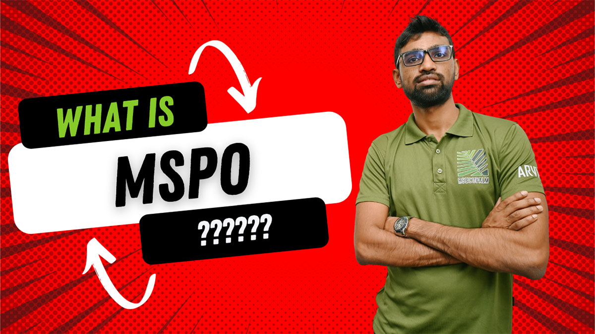 What is MSPO? (2022) | RS Eco Group Sdn Bhd